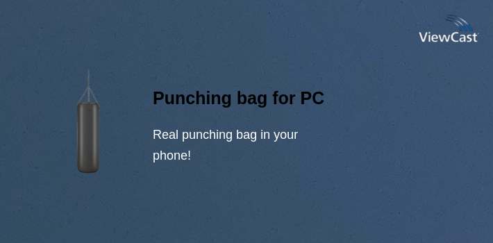 Download Punching bag for PC / Windows / Computer